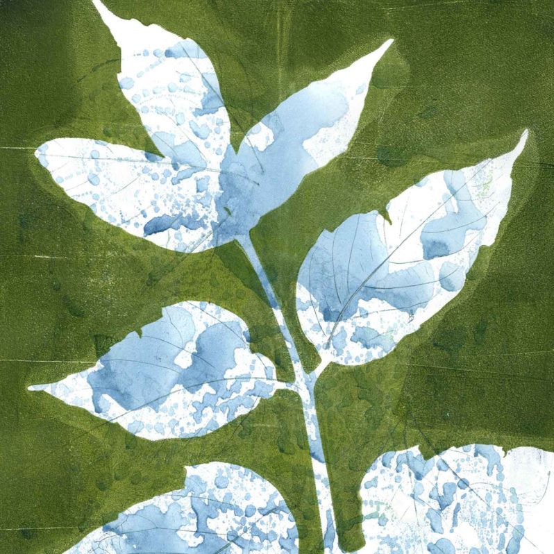 Gelli Print – Drucken mit einer Gelatine-Platte - Katja Haas | PapierLiebe