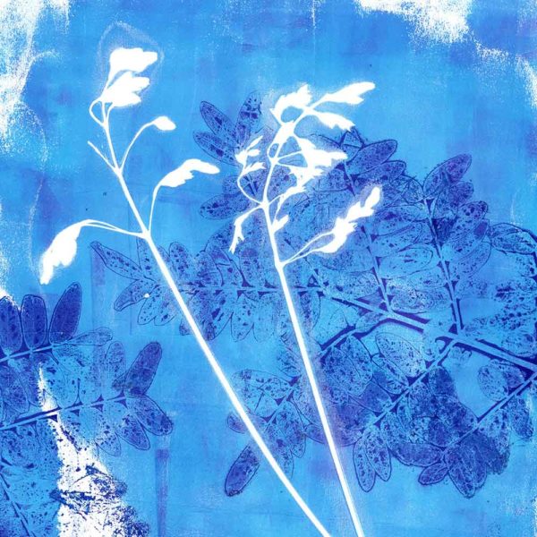 Gelli Print 1x1 – So geht Gelli Printing